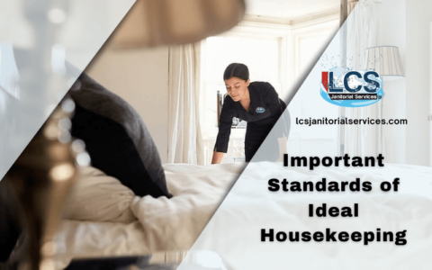 Important Standards Of Ideal Housekeeping | San Diego, CA